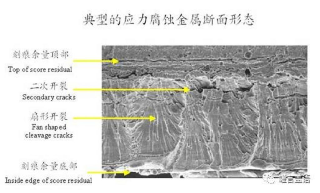 Three Types of Notch Fracture of Easy-open Cover and Their Cross ...
