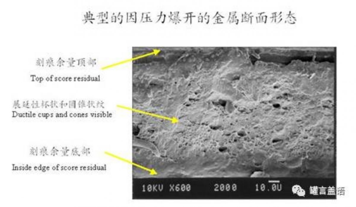 Three Types of Notch Fracture of Easy-open Cover and Their Cross ...